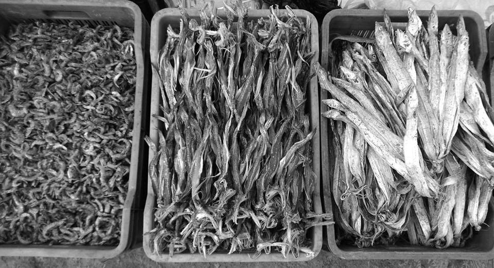 Sample Submissions - Amaranth Journal