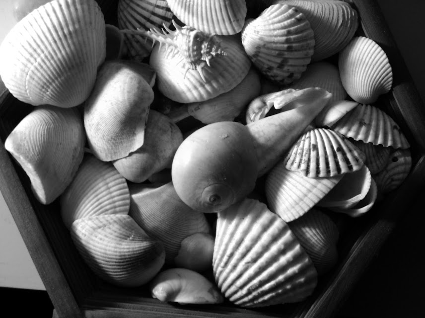 Sample Submissions - Amaranth Journal